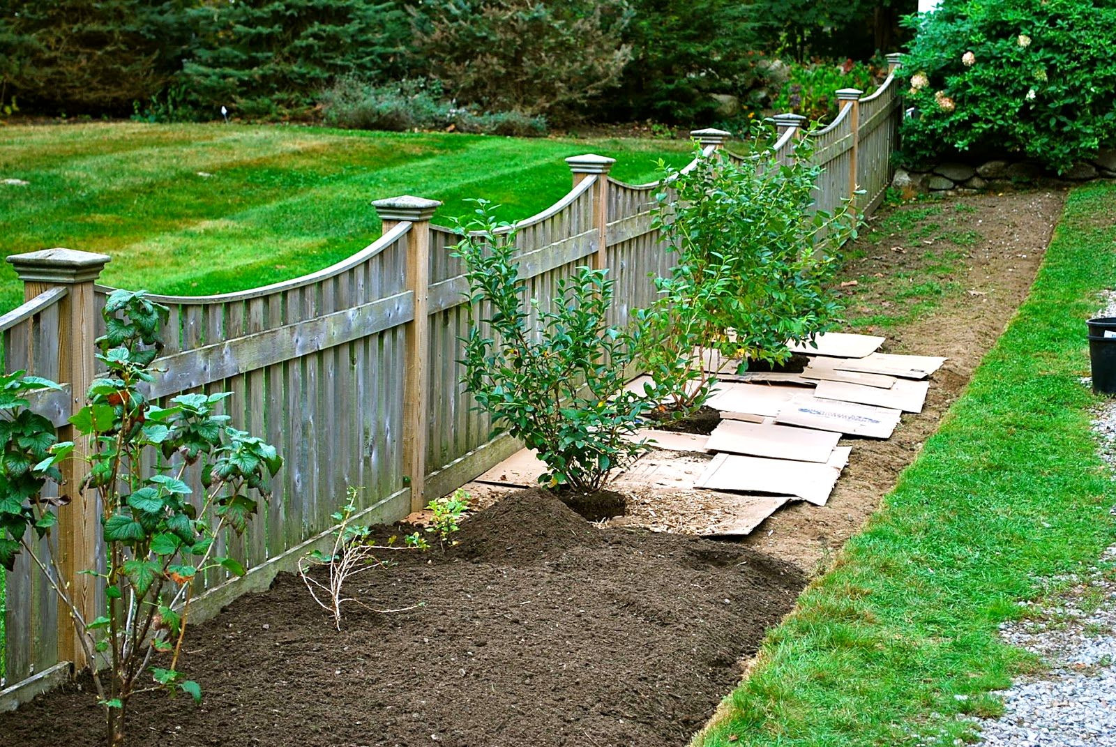 Fence Line Backyard Landscaping Ideas Along Fence